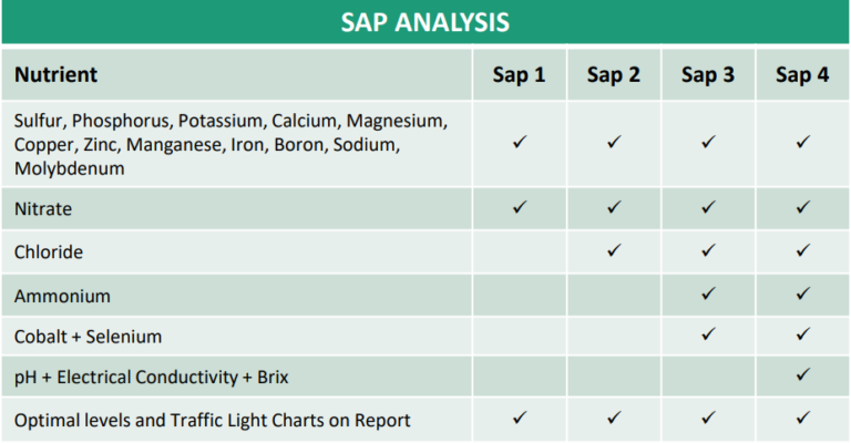 Sap Testing - Novum Lifesciences